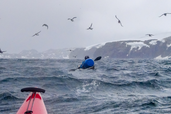 Lendal North America Kayak Paddles